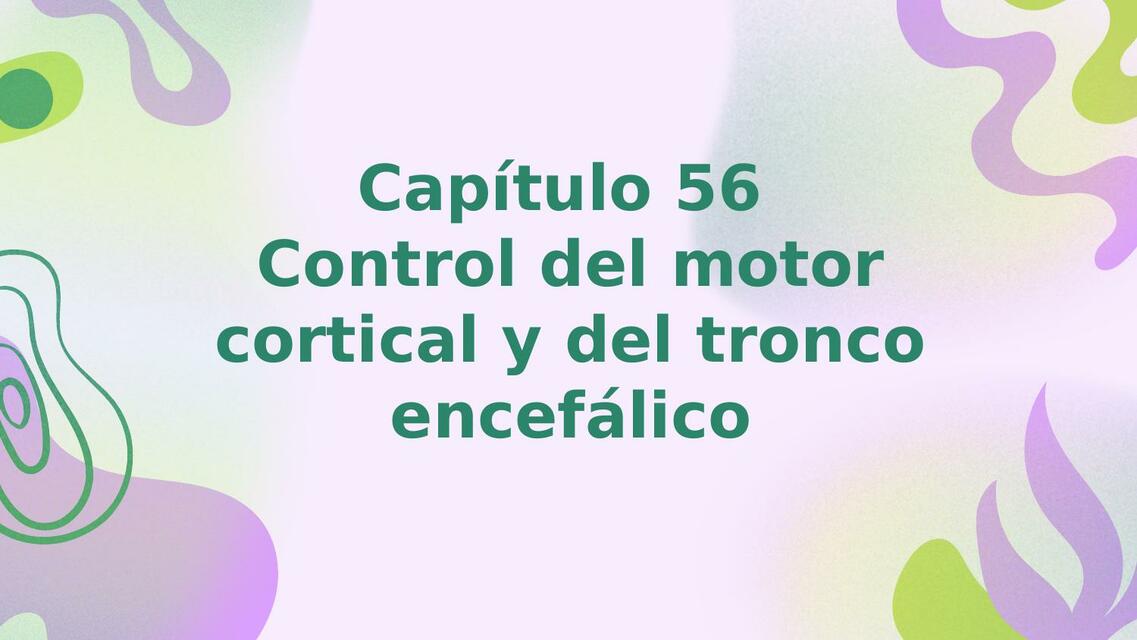 Control del Motor Cortical y del Tronco Encefálico | Maria Fernanda ...