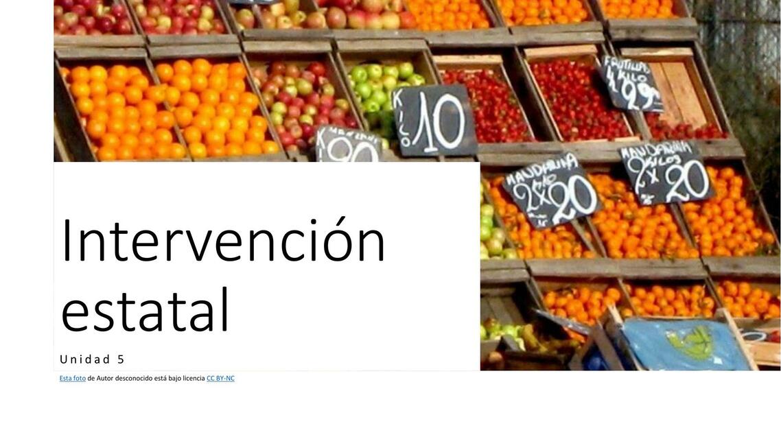 Intervención Estatal | Silvia Sánchez | uDocz