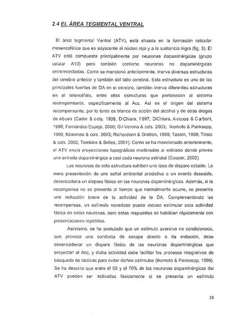 Área Tegmental Ventral | ensaludyconocimiento | uDocz