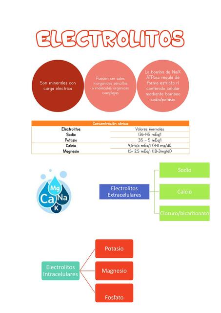 Electrolitos | Thalia Huane Palacios | uDocz