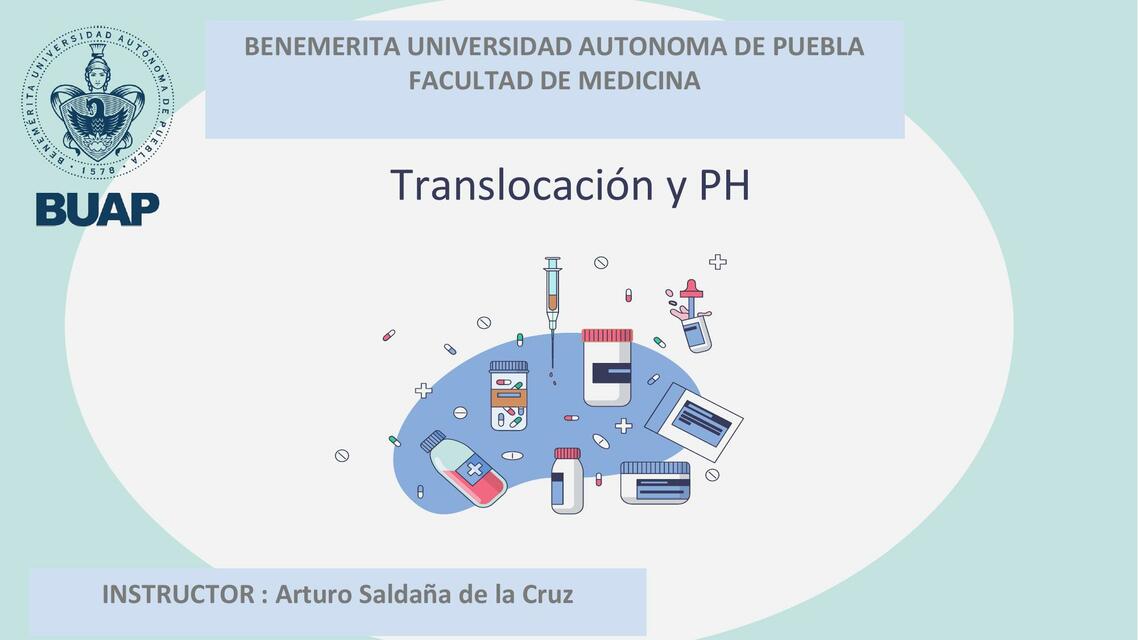 Ph y Translocación | Dogtor Beagle | uDocz