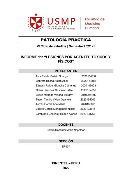 Informe Por Agentes Tóxicos Y Físicos Tiroxina Med Udocz