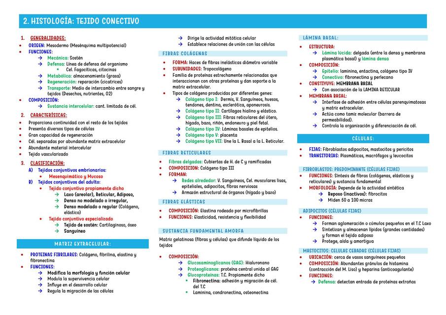 Tejido Conectivo | YUDOC.ORG | uDocz