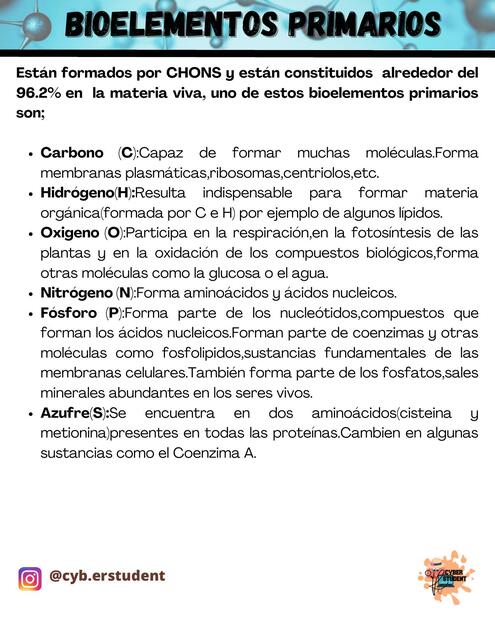 Bioelementos Primarios | CYBER STUDENT | uDocz