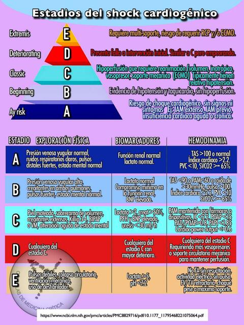 Estadios del choque cardiogénico | YUDOC.ORG | uDocz