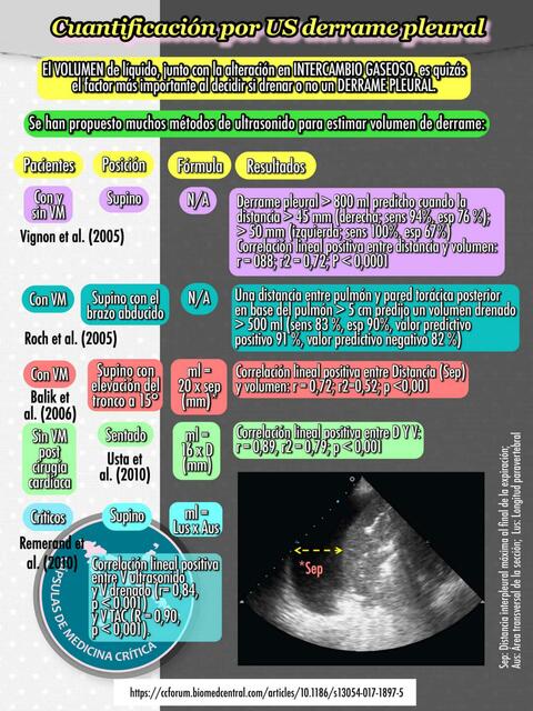 eco POCUS un derrame pleural | YUDOC.ORG | uDocz