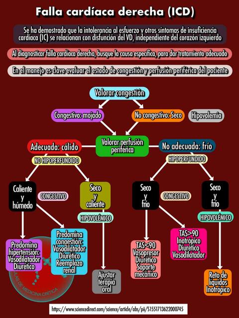 Falla Cardíaca Derecha | YUDOC.ORG | uDocz