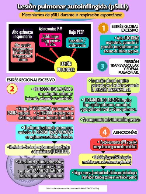 Lesión Pulmonar Autoinflingida | YUDOC.ORG | uDocz