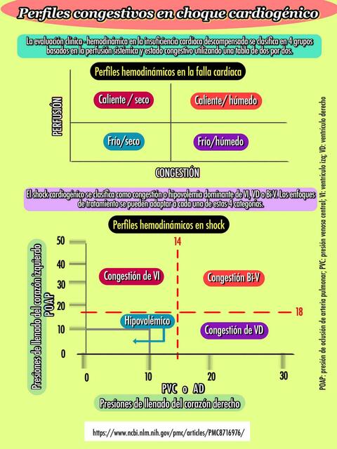 Shock Cardiogénico | YUDOC.ORG | uDocz