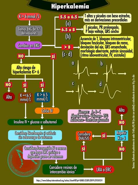 Algoritmo hiperkalemia | YUDOC.ORG | uDocz