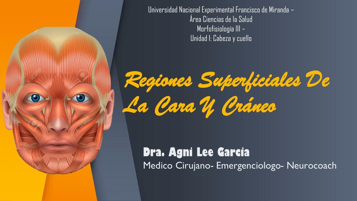 Regiones Superficiales de la Cara y Cráneo | Gigi Caripa | uDocz