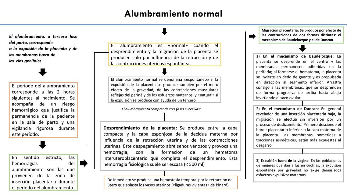 Alumbramiento | LaPepaMédica | uDocz