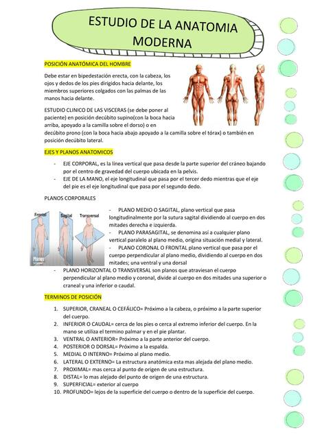 Estudio de la Anatomía Moderna | GABRIELA SALINAS ROJAS | uDocz