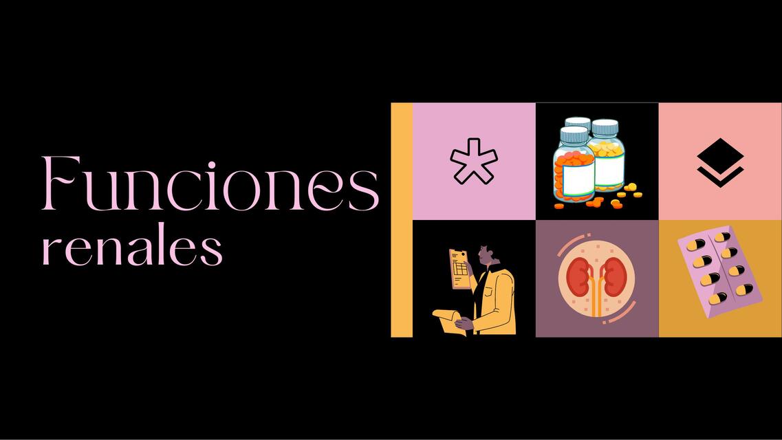 Generalidades Sobre La Función Renal PPT | Medicina.zip | uDocz