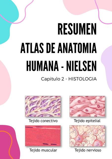 Resumen Capitulo 02: Atlas de Anatomía Humana Nielsen | Tiroxina Med 🩺 ...