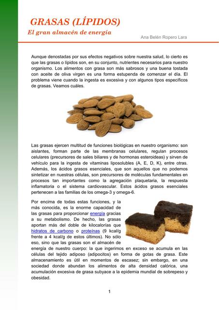 Grasas (Lípidos). El Gran Almacén de Energía | Nutrición y alimentación ...