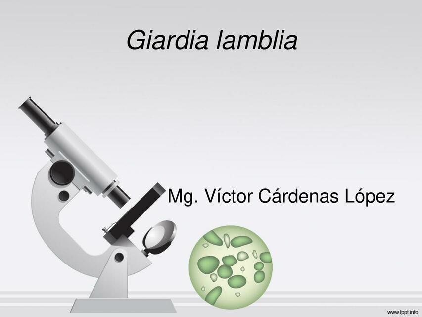 Giardia Lamblia | shadow | uDocz