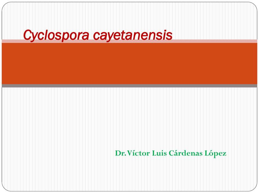 Cyclospora Cayetanensis | shadow | uDocz