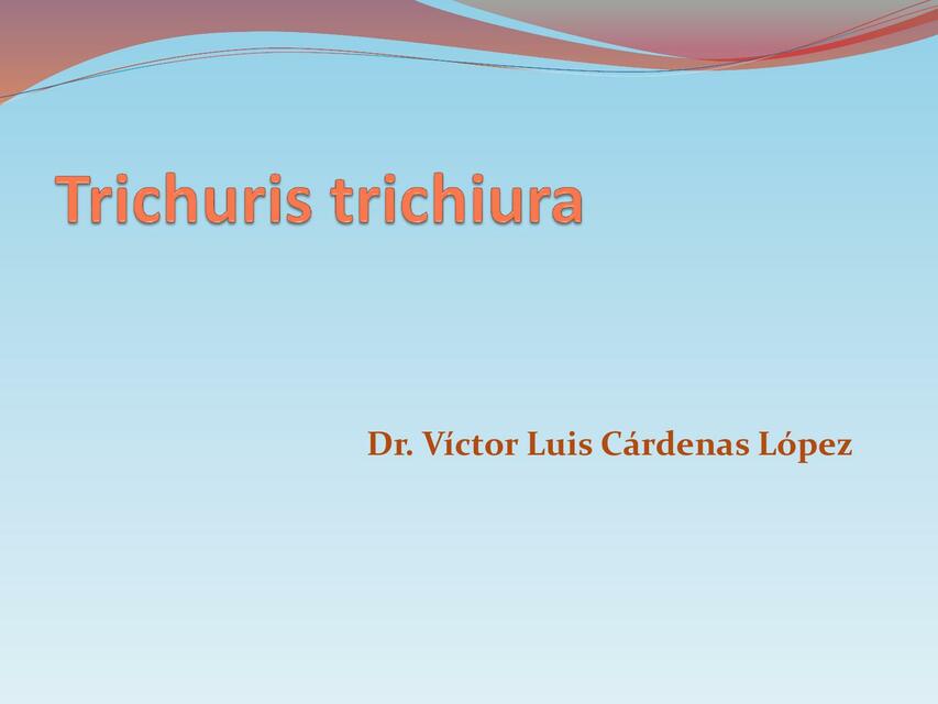 Trichuris Trichiura | shadow | uDocz