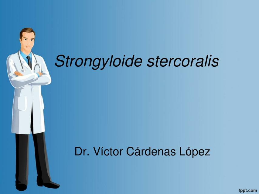 Strongyloide Stercoralis | shadow | uDocz