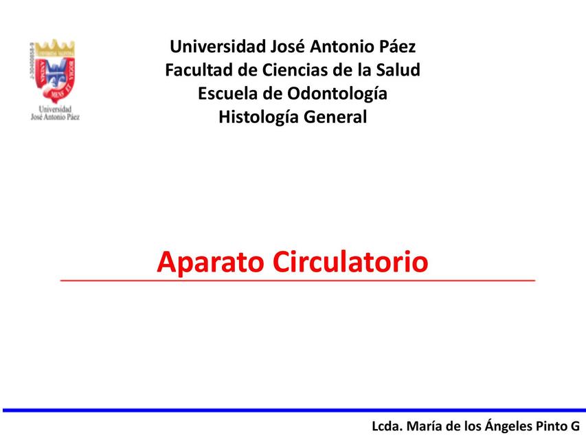 Flashcards de Aparato Circulatorio | Por alejandra alvarez | uDocz