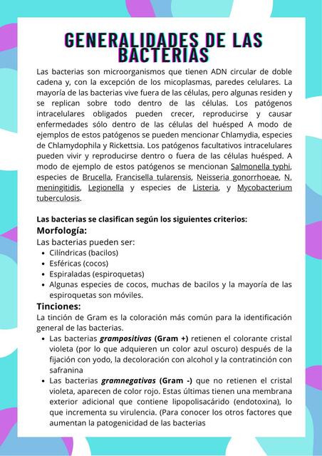 MICRO BACTERIAS | uDocz