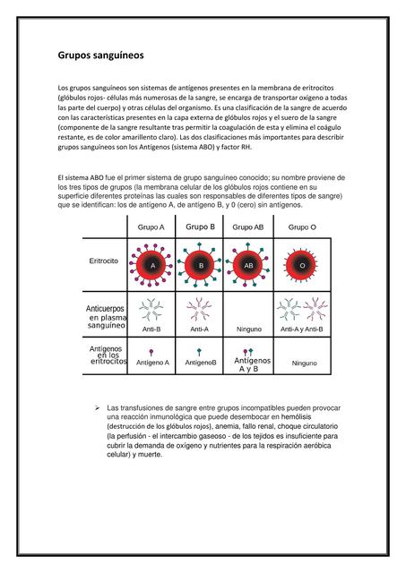 Grupos Sanguíneos | Karen belen De andrea | uDocz