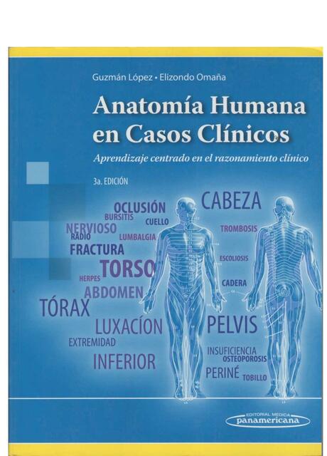 Anatomía Humana en Casos Clínicos | Luz Belén | uDocz