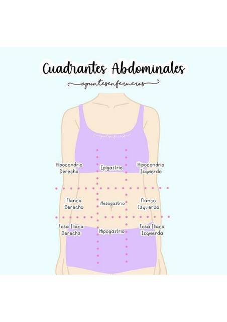Cuadrantes Abdominales | Enfermería | uDocz