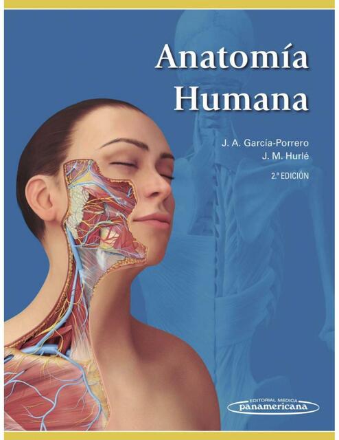 Anatomía Humana | Enfermería | uDocz