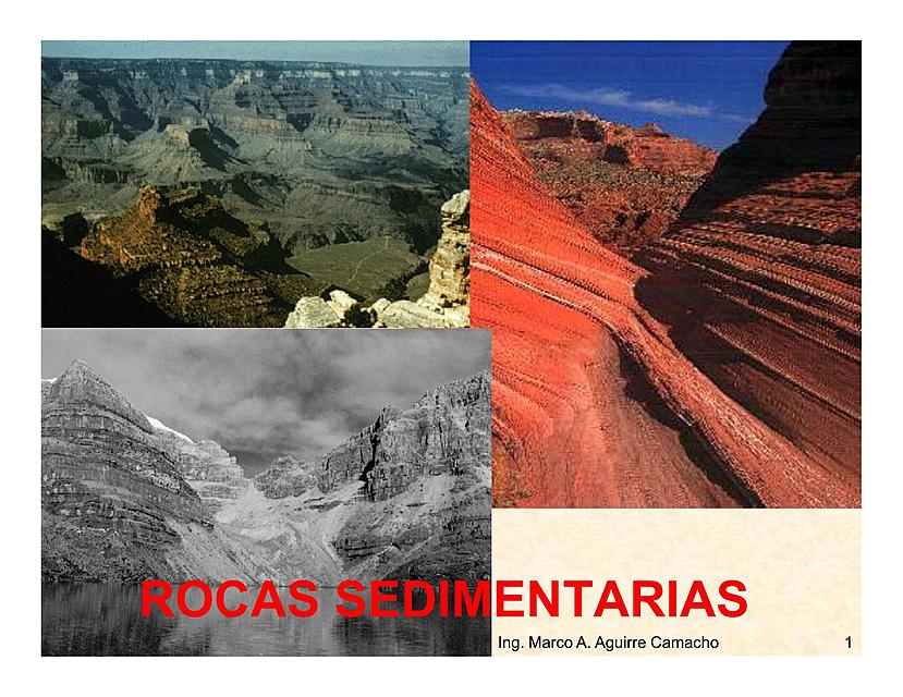 rocas sedimentareas | uDocz