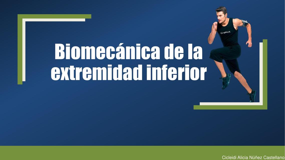 Biomecánica de la extremidad inferior | Ali | uDocz