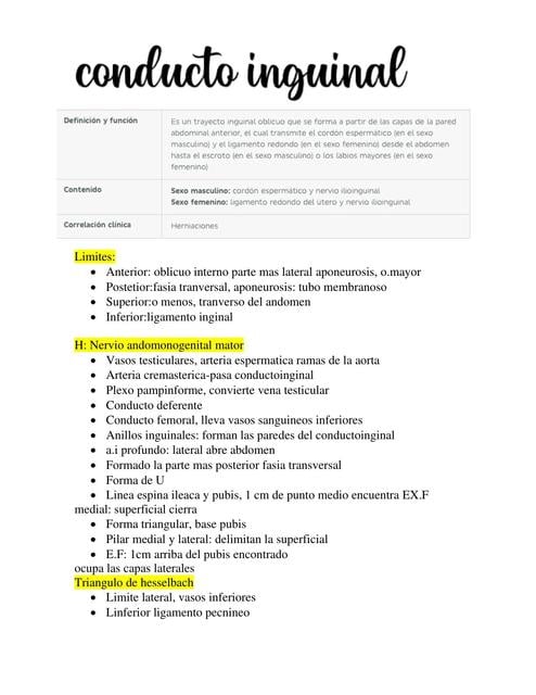 Conducto inguinal | | uDocz