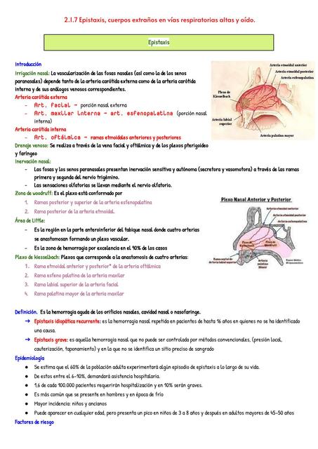 Epistaxis, Cuerpos Extraños en Vías Respiratorias Altas y Oído | Nadia ...
