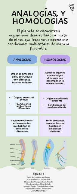 Analogías y Homologías | ASTRID AVILA | uDocz