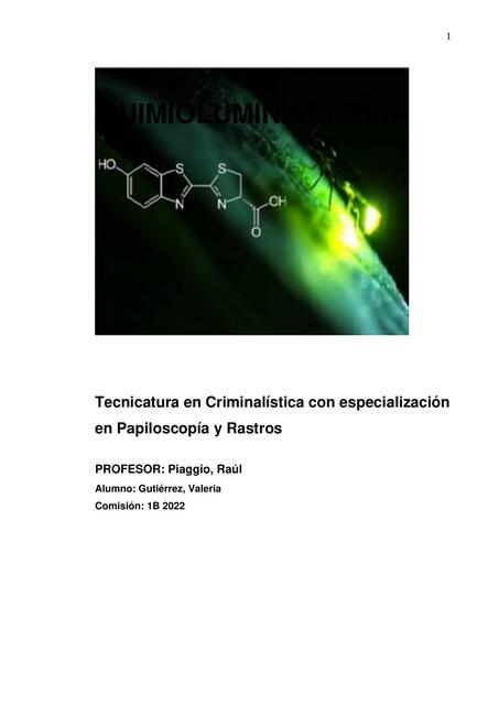 Tecnicatura en Criminalística con Especialización en Papiloscopia y ...