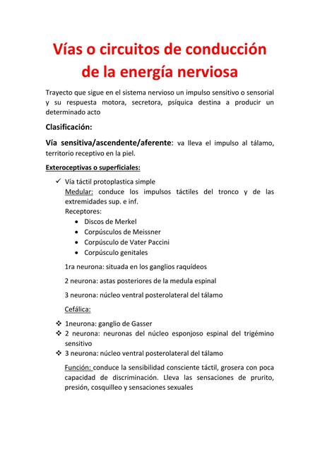 Vías o circuitos de conducción de la energía nerviosa | Tábita ...