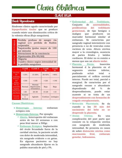 Claves Obstétricas | Rosa Mariana Huayta Quispe | uDocz