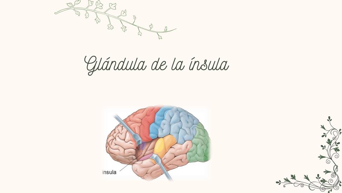 Resúmenes de Daño en la insula | Descarga apuntes de Daño en la insula