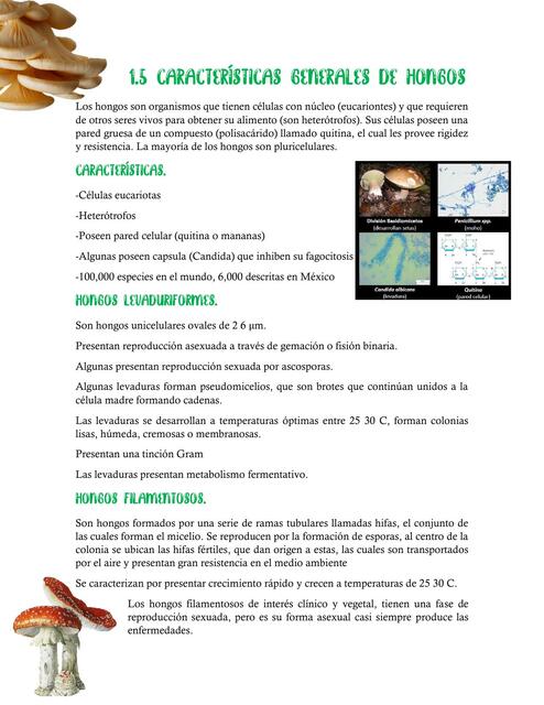Características generales de hongos y características generales de los virus | Andy Gámez | uDocz
