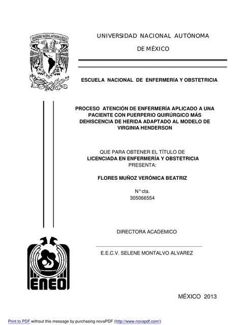 PAE | Enfermería | uDocz