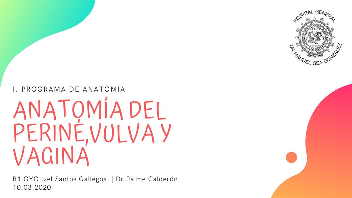 Anatomía del Periné, Vulva y Vagina | itzel santos | uDocz