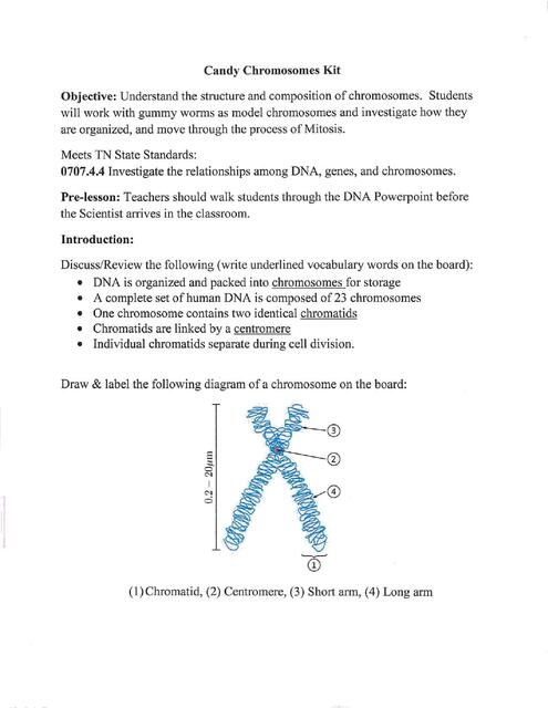 Candy Chromosomes Lesson | Marissa Lamothe | uDocz