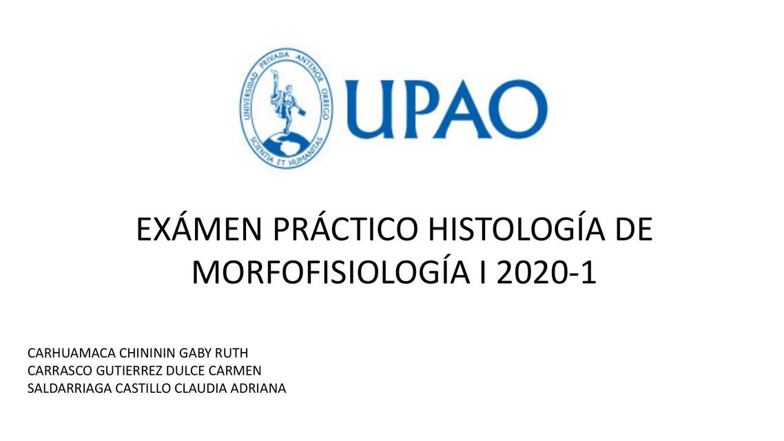 Examen Práctico Histología de Morfofisiología | Claudia Saldarriaga | uDocz