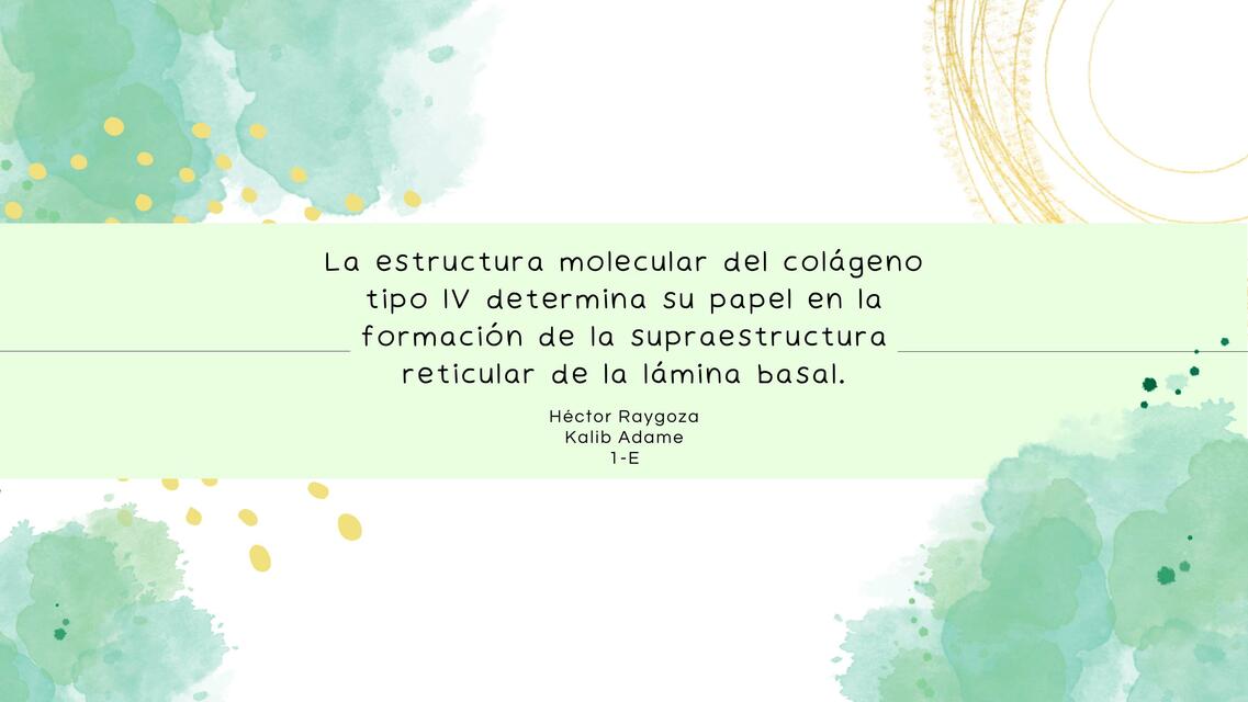Molécula de Colágeno Tipo IV | Charly Rodríguez | uDocz