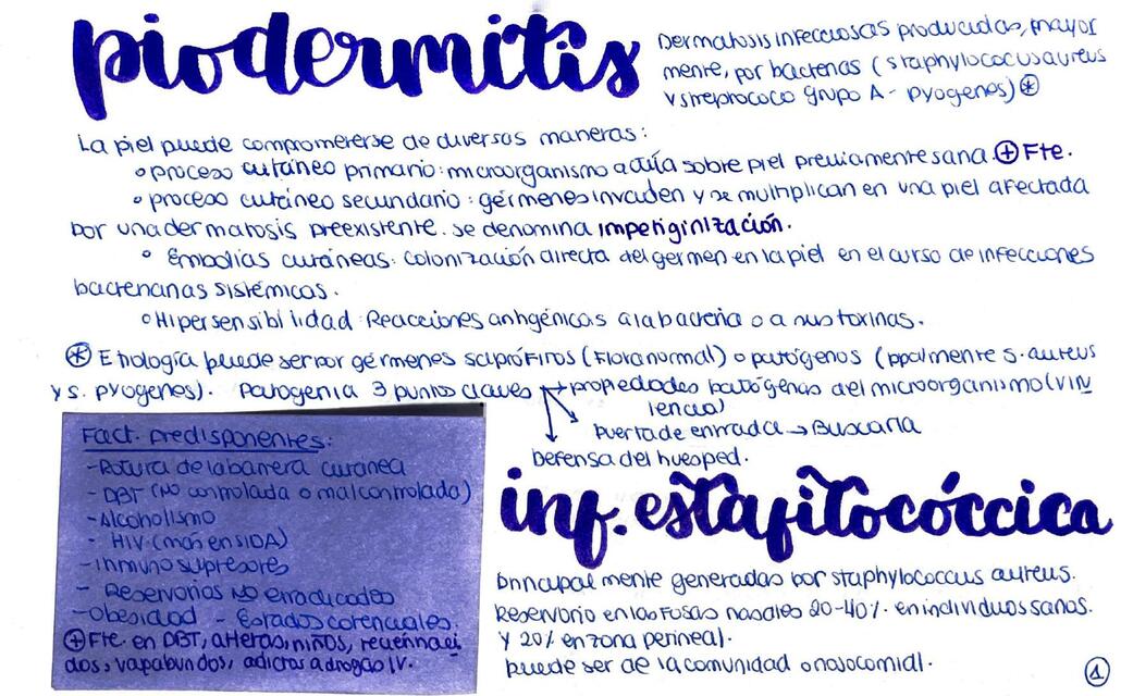Piodermitis | Glomerulito | uDocz