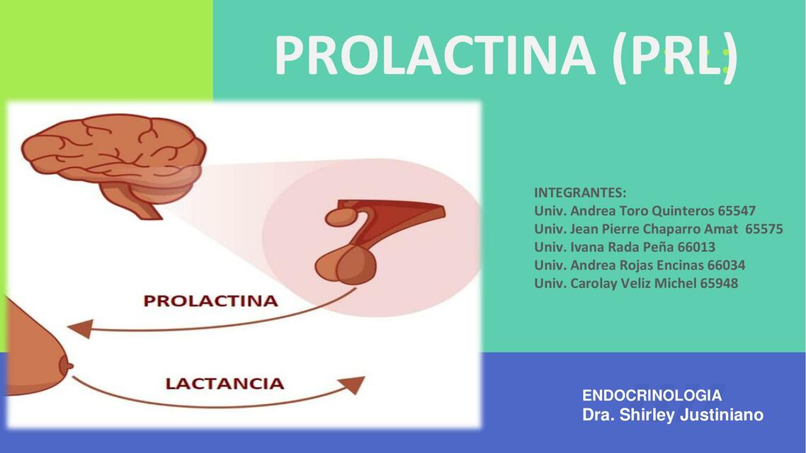 Prolactina | Andrea Rojas | uDocz