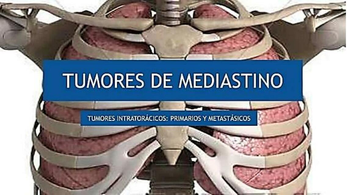 Resumen capítulo 28 Enfermedades del aparato respiratorio Cano F | Todo sobre Libros de Medicina ...