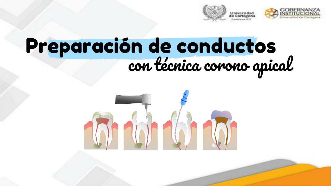 Preparación de conductos corono apical | Michelle Pedroza | uDocz