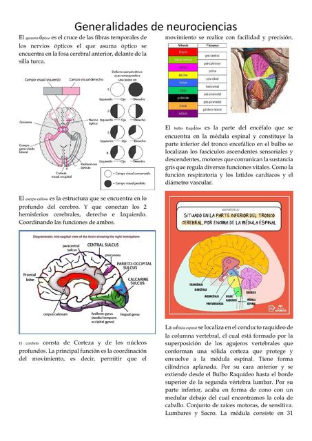 Generalidades de Neurociencias | Emilse Romero | uDocz